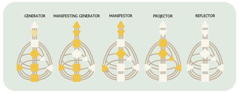 Beginners Guide To Human Design The Types