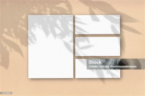 모래 색 벽의 배경에 흰색 질감 종이의 여러 수평 및 수직 시트 식물 그림자와 모형 오버레이 자연광이 나무의 나뭇잎에서 그림자를 투사합니다 0명에 대한 스톡 벡터 아트 및