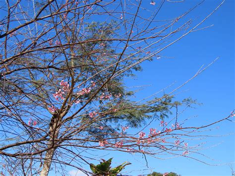 อุทยานแห่งชาติแม่โถ