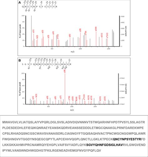 Cid Msms Spectra Of Tryptic Peptides From Dccathb Amino Acid Download Scientific Diagram