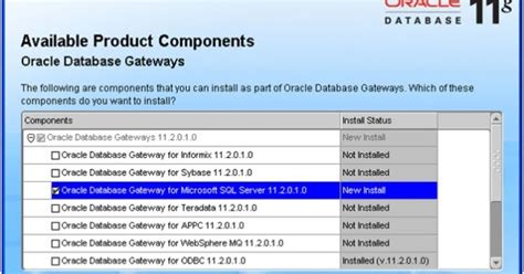 Dba Catalog Database Link Between Oracle Database And Sql Server Database