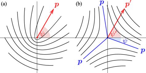 Figure 1 From Orientational Properties Of Nematic Disclinations