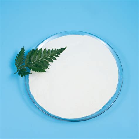 Freeze Dried Lactobacillus Reuteri Inhibit Helicobacter Pylori