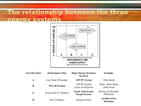 The Relationship Between The Three Energy Systems Area On Chart