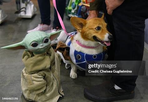 A Corgi Is Seen Next To A Grogu Robot During 2022 Los Angeles Comic News Photo Getty Images
