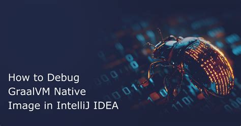 Set Up Graalvm Native Image Debug In Intellij Idea