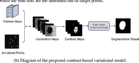 Figure 2 From Weakly Supervised Segmentation With Point Annotations For Histopathology Images