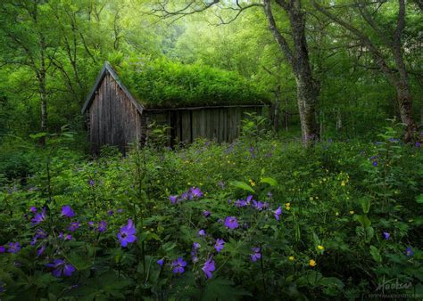 4123 Best Hermits Images On Pholder Hermit Craft Hermitcraftmemes