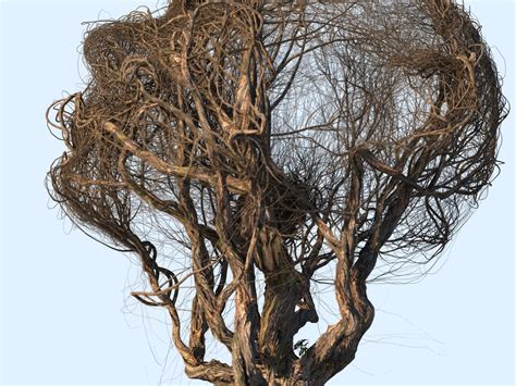 Tree Head Hd Modelo 3d 99 Max Fbx Free3d