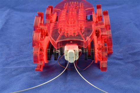 vex robotics ant robotfun