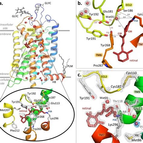 Room Temperature Serial Femtosecond Crystallographic Sfx Structure Of