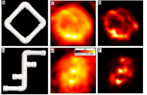 Photo IMAGE EurekAlert Science News Releases
