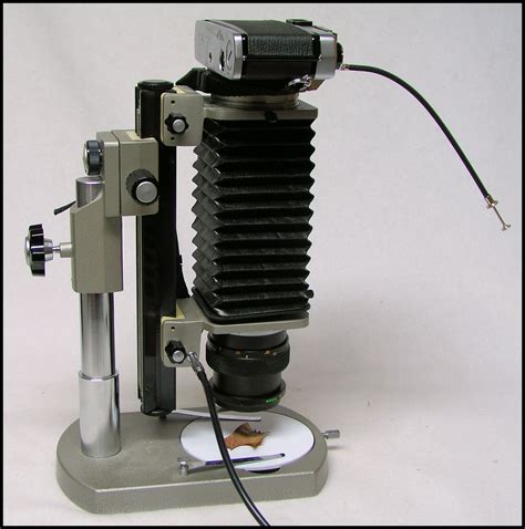 What Is A Macro Beginner Questions Photo Net