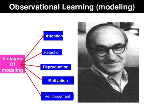 observational learning