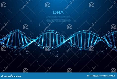 Dna Abstract 3d Polygonal Wireframe Dna Molecule Stock Vector Illustration Of Evolution