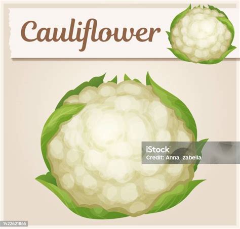 콜리플라워 야채 벡터 아이콘입니다 흰 양배추 성분 만화 일러스트 레이 션 건강한 생활방식에 대한 스톡 벡터 아트 및 기타 이미지 건강한 생활방식 건강한 식생활 꽃