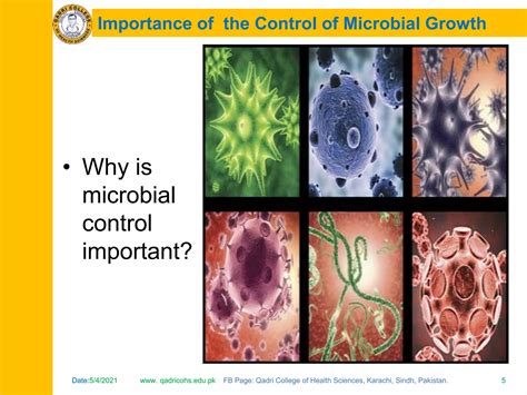 Control Of Microbial Growth Using Physical And Chemical Methods Pptx