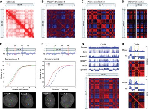 Comprehensive Mapping Of Long Range Interactions Reveals Folding Principles Of The Human Genome