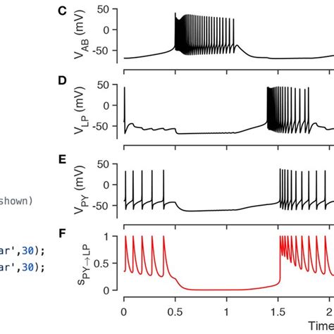 Simulating A Network Of Conductance Based Model Neurons Coupled By Download Scientific Diagram