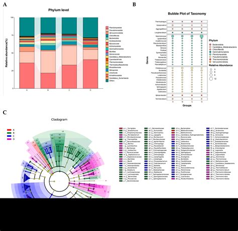 The Microbial Community Succession Drives Stage Specific Carbon