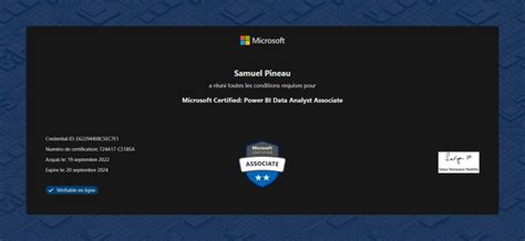 Samuel Pineau On Linkedin Powerbi
