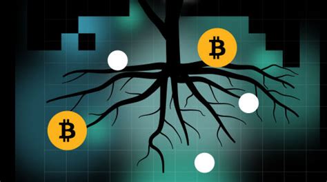 A Walkthrough Of Lightning Labs Taproot Assets Protocol