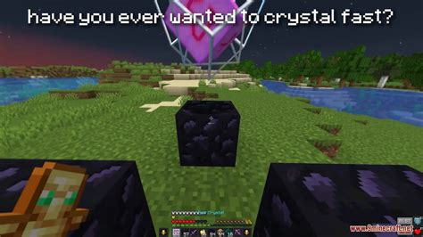 Marlows Crystal Optimizer Mod 1206 1201 Faster Crystal Speeds