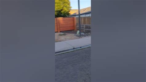 Sparklight Cable Management Is Shakey Youtube