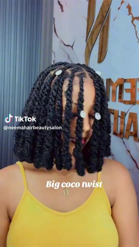 Coco Twist Braids Hairstyle