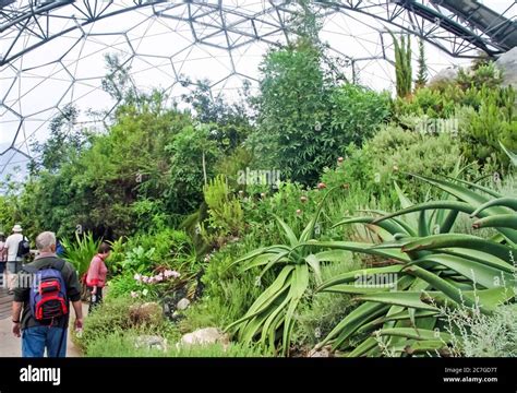 The Eden Project In Cornwall Is An Educational Charity Offering A View