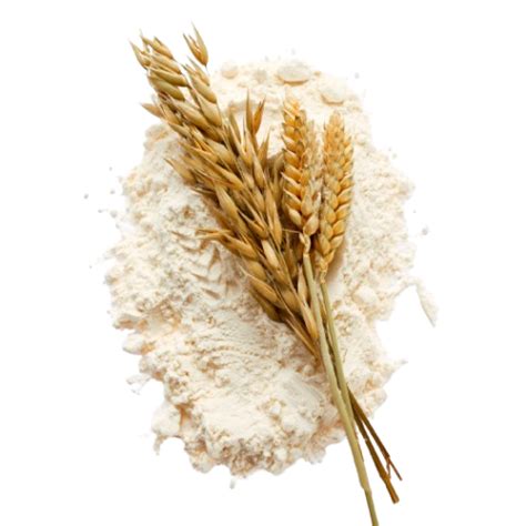 차별화상회 한식백반관