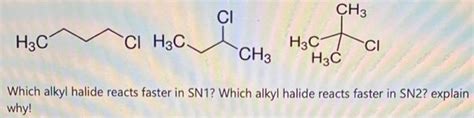 Solved CI CH3 CI H3C H3C 7 H3C H3C CI CH3 Which Alkyl Halide Chegg Com