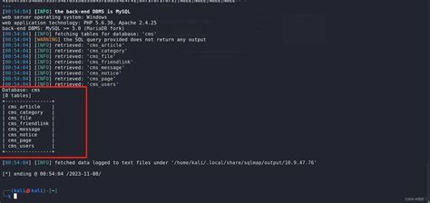sqlmap sql注入工具详解与实战应用 csdn博客