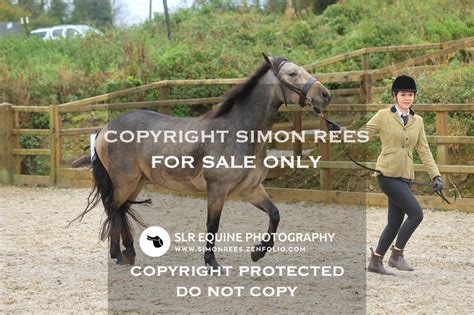 Slr Photography Class 5 Best Young Handler Slr Photography Class 5 Best Young Handler