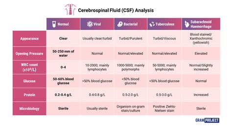 Cerebrospinal Fluid CSF Analysis