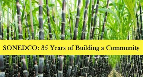 Sonedco 35 Years Of Growing A Community Around A Sugar Mill