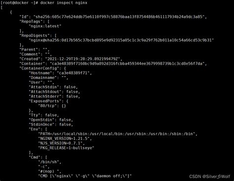 小白到运维工程师自学之路 第六十集 （docker的概述与安装） csdn博客