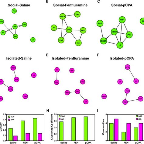 Correlated Patterns Of Activity Form Different Functional Networks