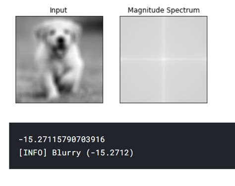 Fast Fourier Transform For Blur Detection Rkaggle