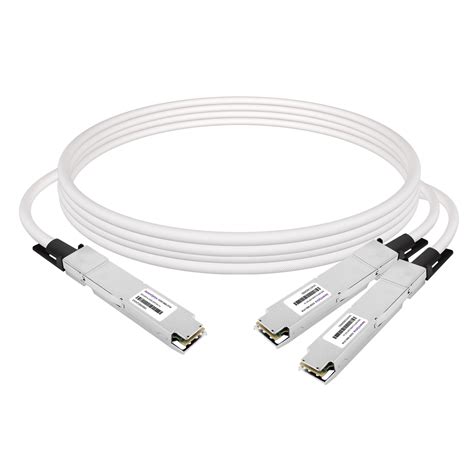 800g Osfp To 2x 400g Osfp Breakout Dac 1m Ascentoptics