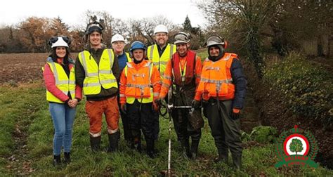 Tree Pruning Essex Tree Pruning For All Trees In Essex