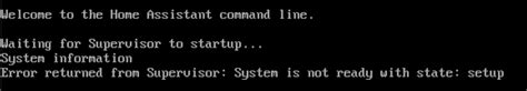 Power Outage Home Assistant Cli Is Not Running Jump Into Emergency Console Configuration