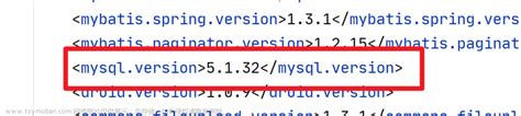 出现caused by java lang nullpointerexception异常的解决方法 toy模板网