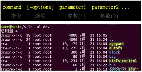 【linux】终端与指令 Csdn博客