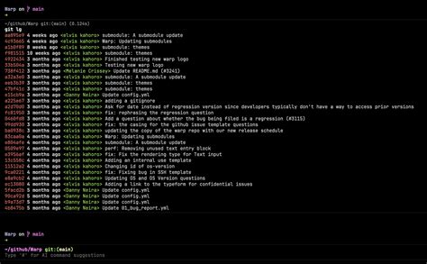 Edit Prompt Able To Disable Warp Prompt Or Shell Prompt Issue Warpdotdev Warp GitHub