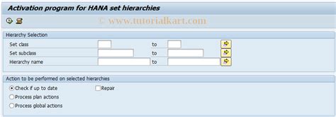 Sethanaactivator Sap Tcode Activation Of Hana Set Hierarchies