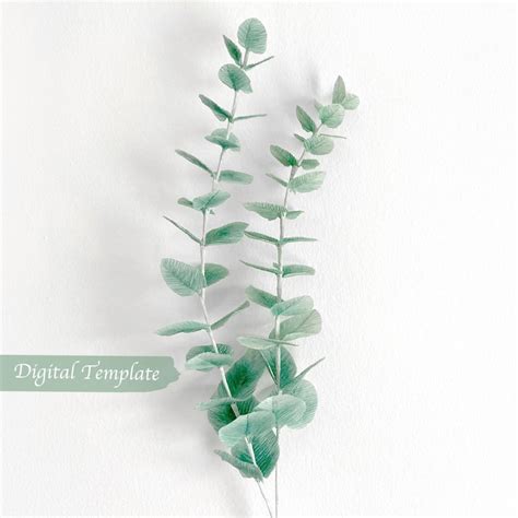 Paper Eucalyptus Template Etsy