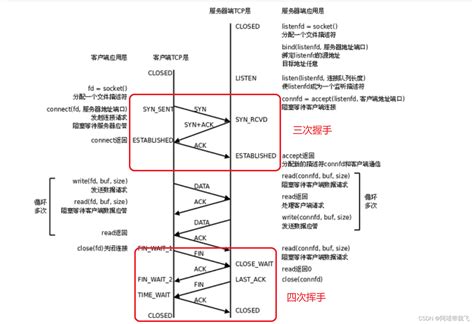 传输层协议（udp和tcp） udp及tcp报文格式 csdn博客