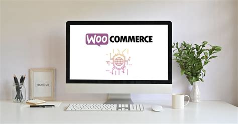 comment sécuriser sa boutique en ligne wordpress techout