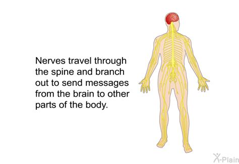 Diagnostic Medial Branch Block